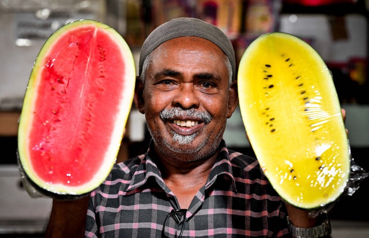 Watermelon Prices Drop this Ramadan